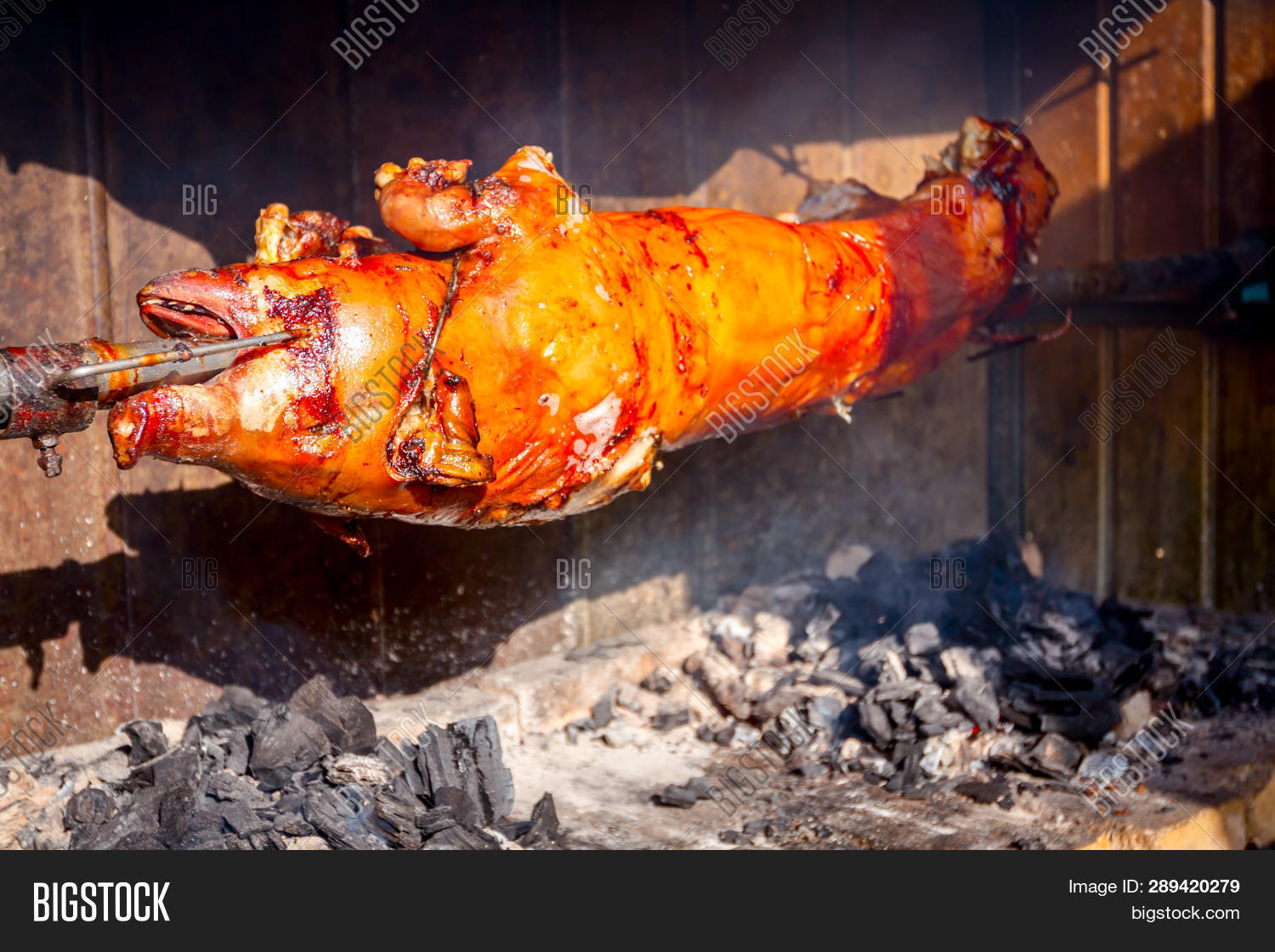 Pig Being Grilled Image & Photo (Free Trial) | Bigstock