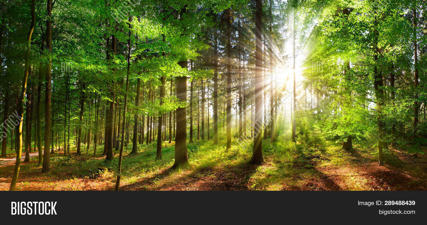 Panoramic Landscape: Image & Photo (Free Trial) | Bigstock