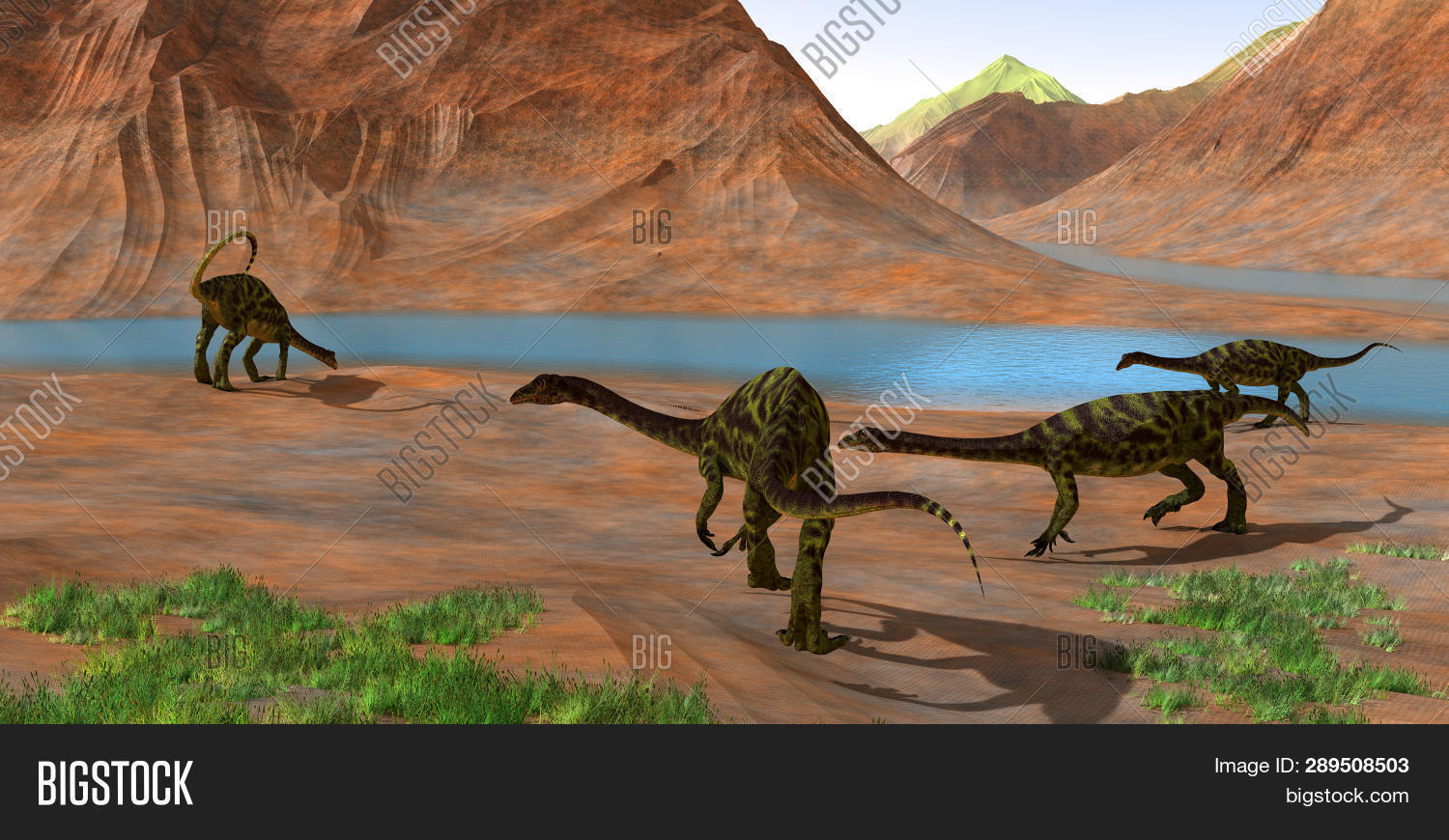 Anchisaurus Dinosaurs Image & Photo (Free Trial) | Bigstock