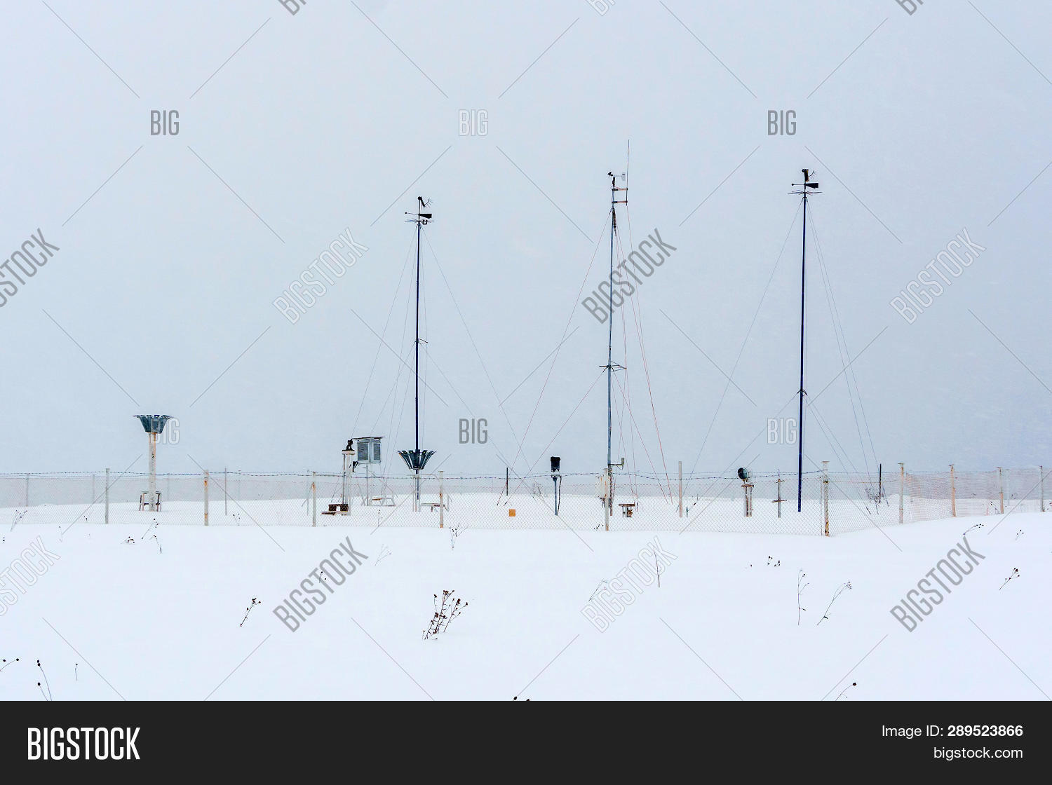 Classic Synoptic Image & Photo (Free Trial) | Bigstock