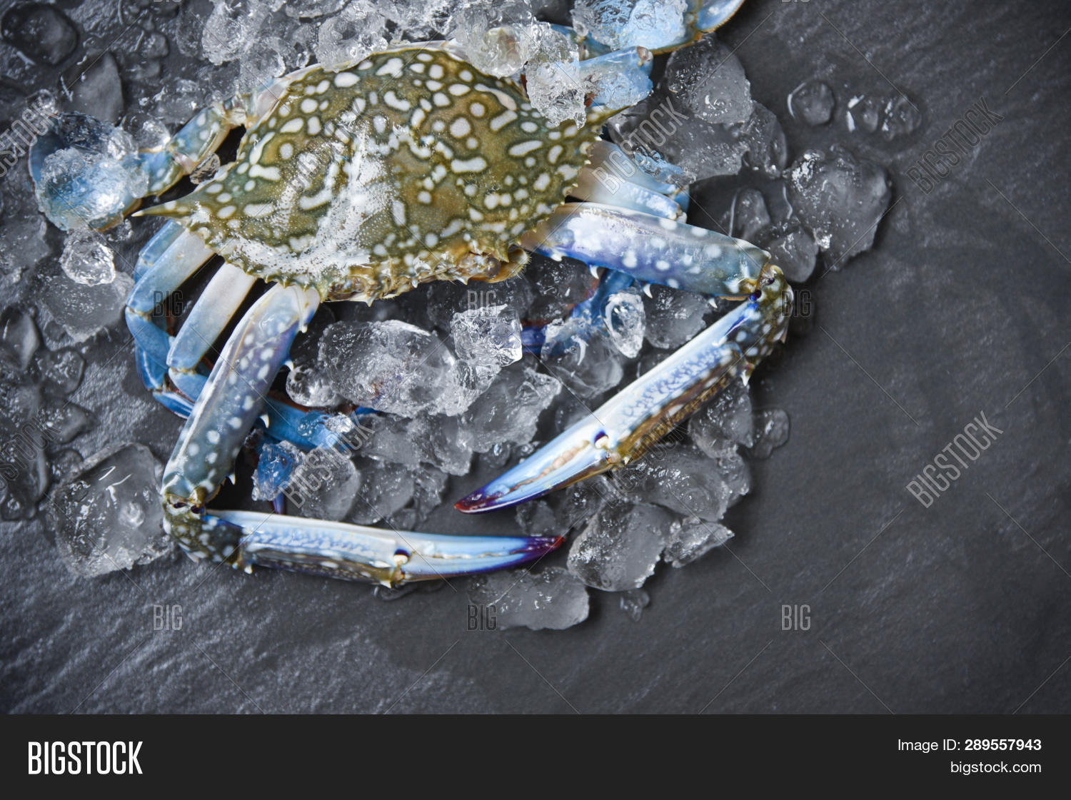 Seafood Crab On Ice / Image & Photo (Free Trial) | Bigstock