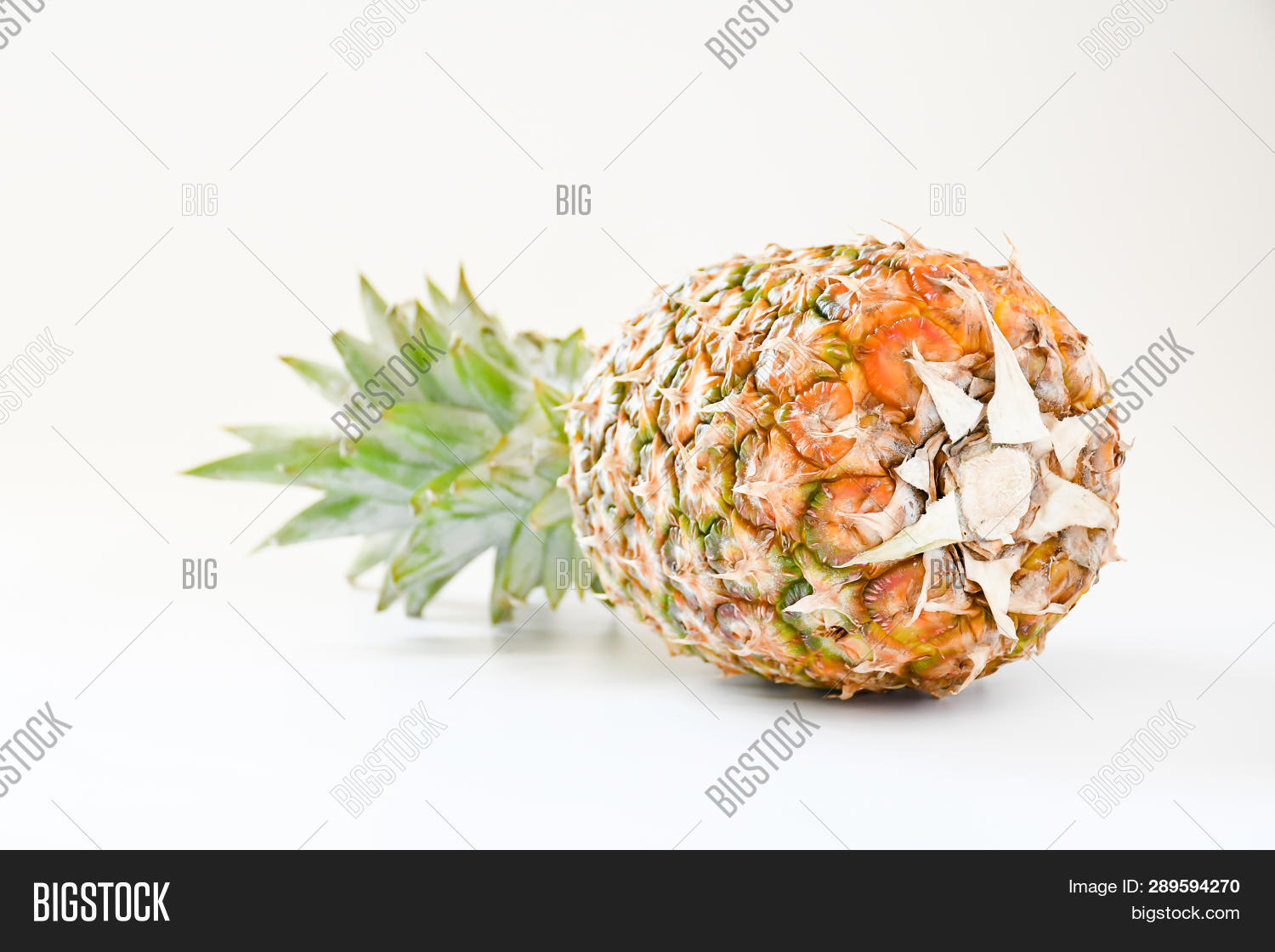Single Freshness Image & Photo (Free Trial) | Bigstock