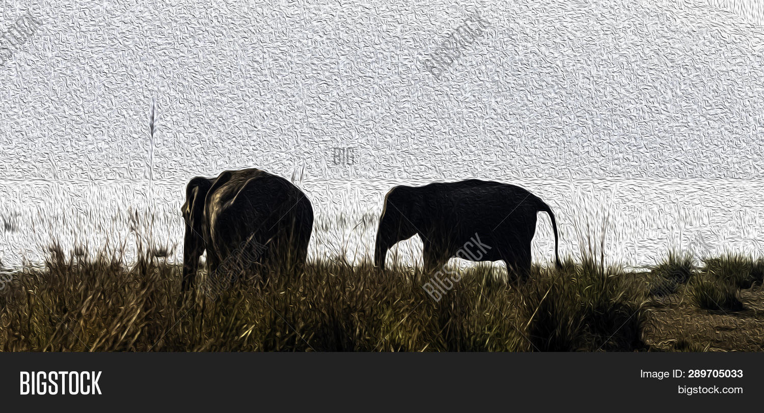 Indian Elephant Family Image & Photo (Free Trial) | Bigstock