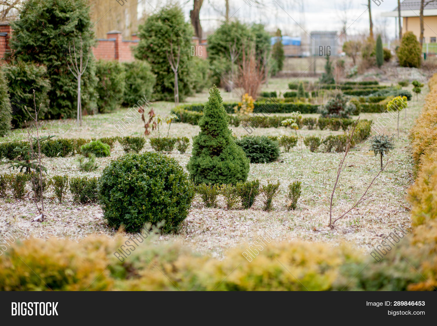 Natural Landscaping Image & Photo (Free Trial) | Bigstock