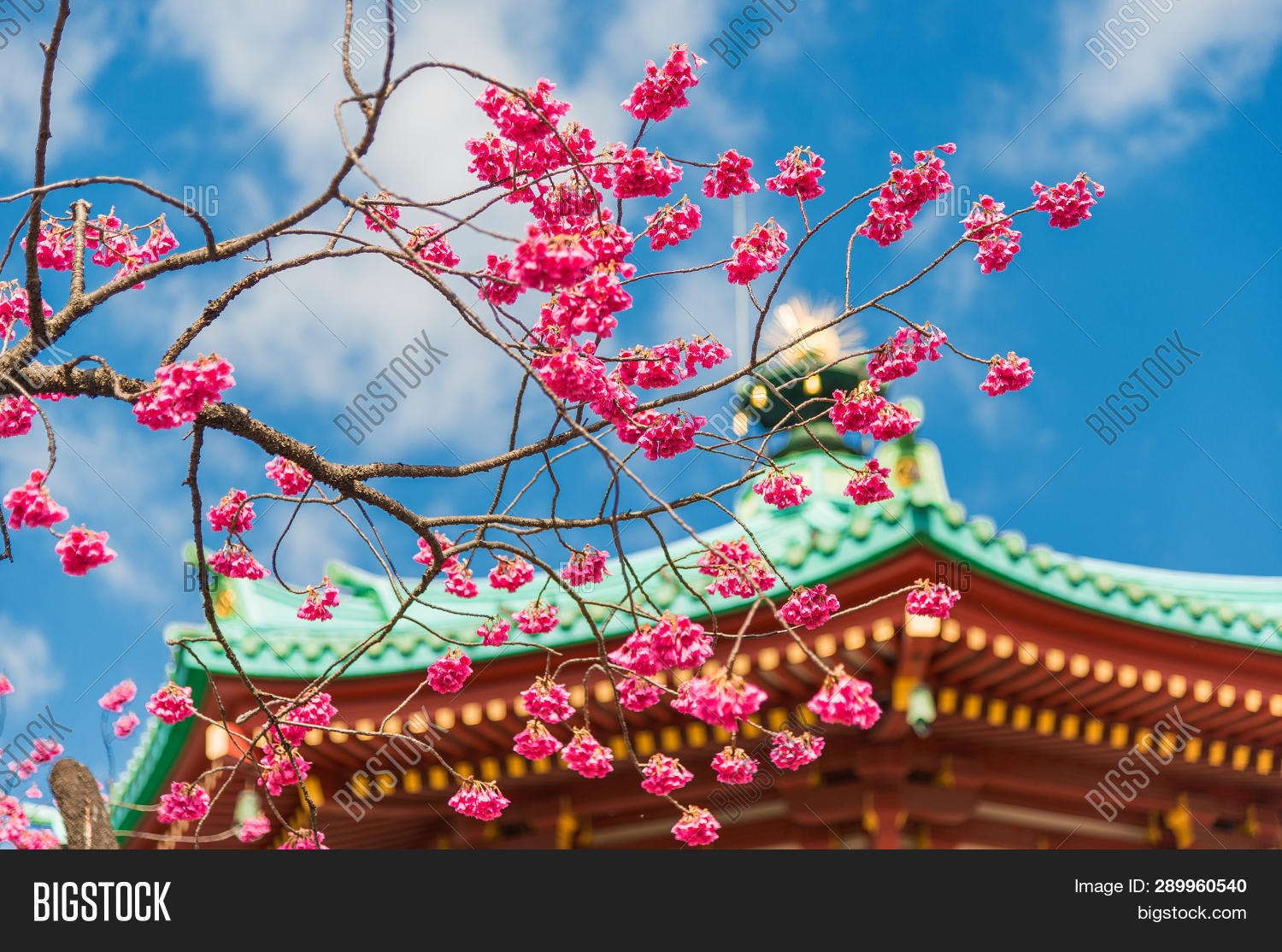 Tokyo, Japan - March Image & Photo (Free Trial) | Bigstock