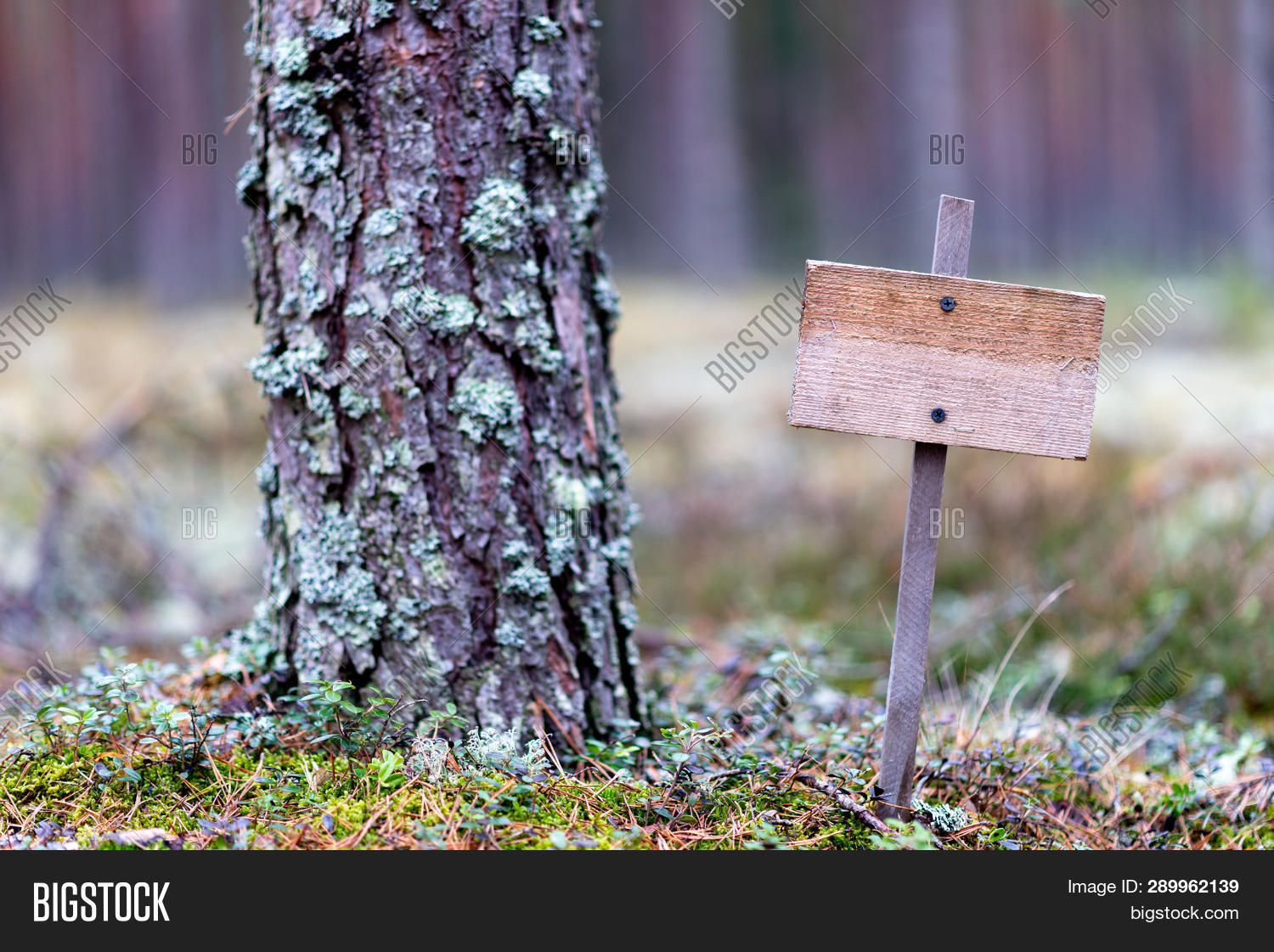 Wooden Empty Plaque Image & Photo (Free Trial) | Bigstock
