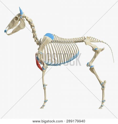 3d Rendered Medically Image & Photo (Free Trial) | Bigstock