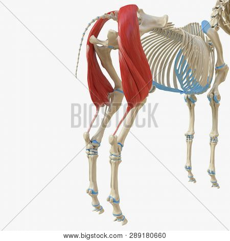 3d Rendered 图片和照片（免费试用） | Bigstock