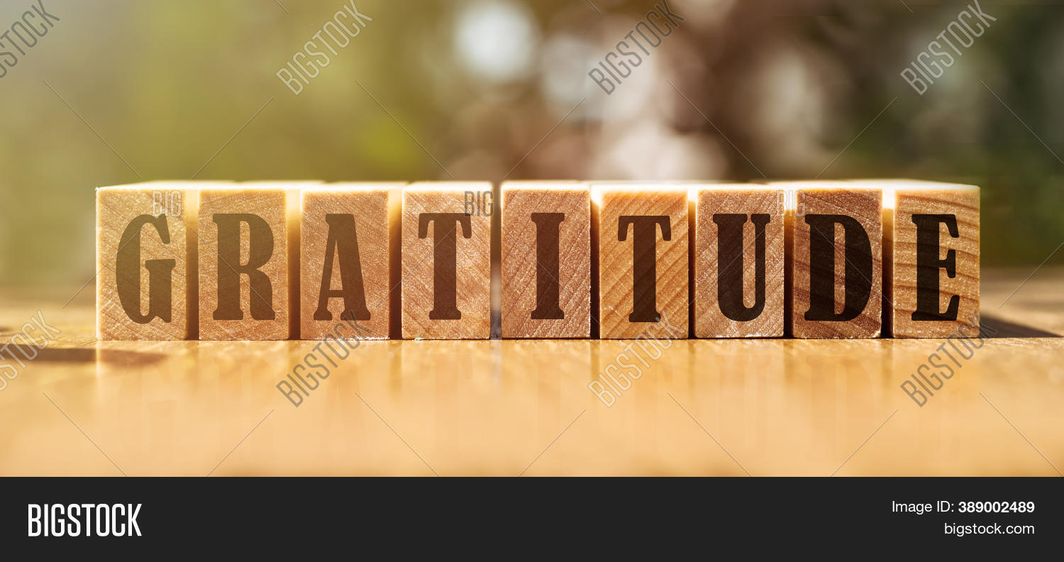 Gratitude Word Written Image & Photo (Free Trial) | Bigstock