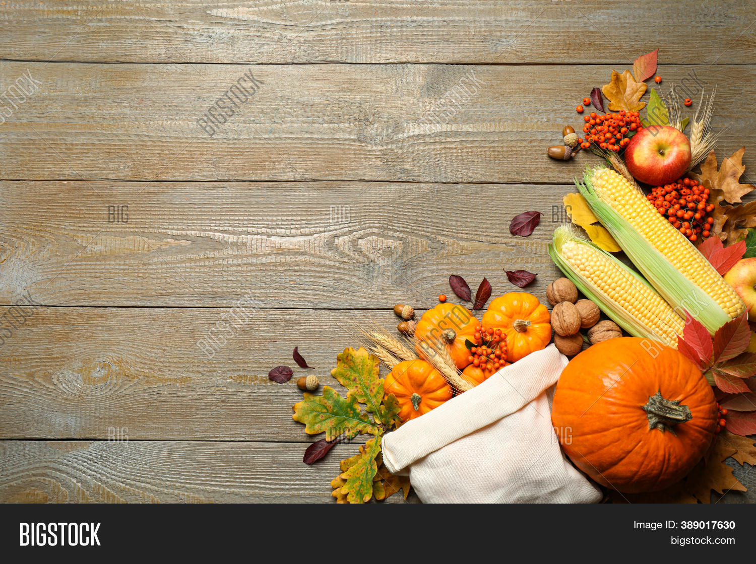 Flat Lay Composition Image & Photo (Free Trial) | Bigstock