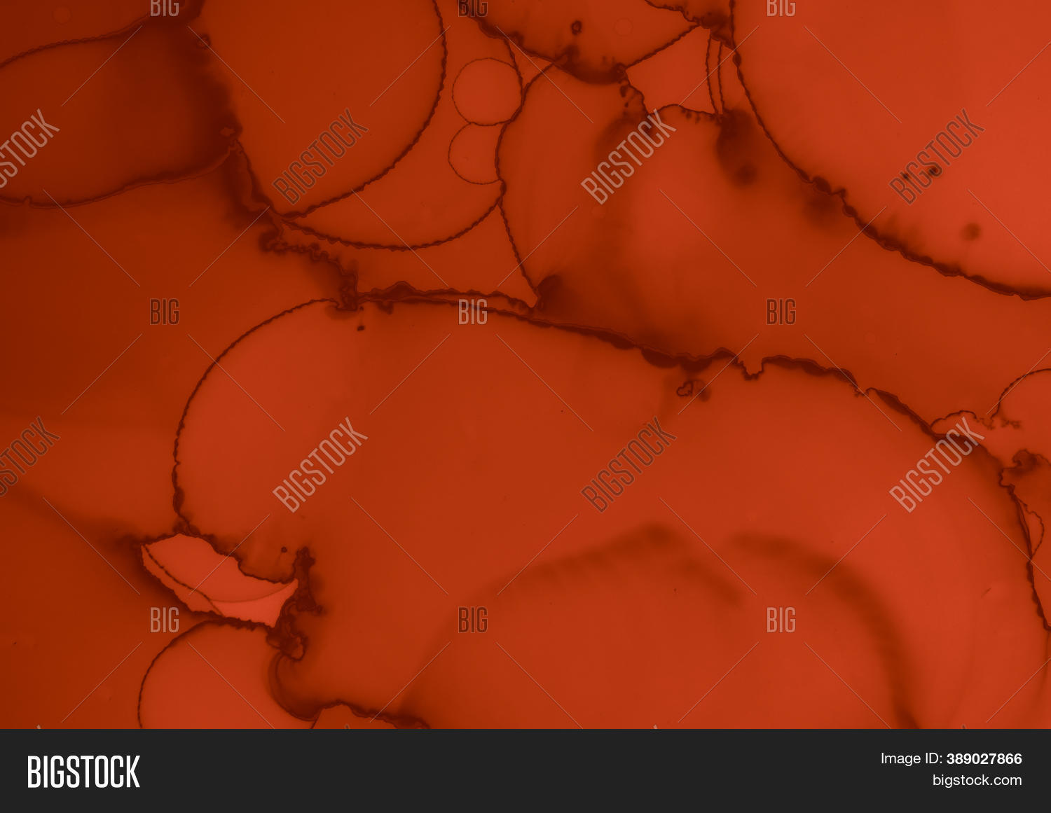Blood Splatter. Image & Photo (Free Trial) | Bigstock