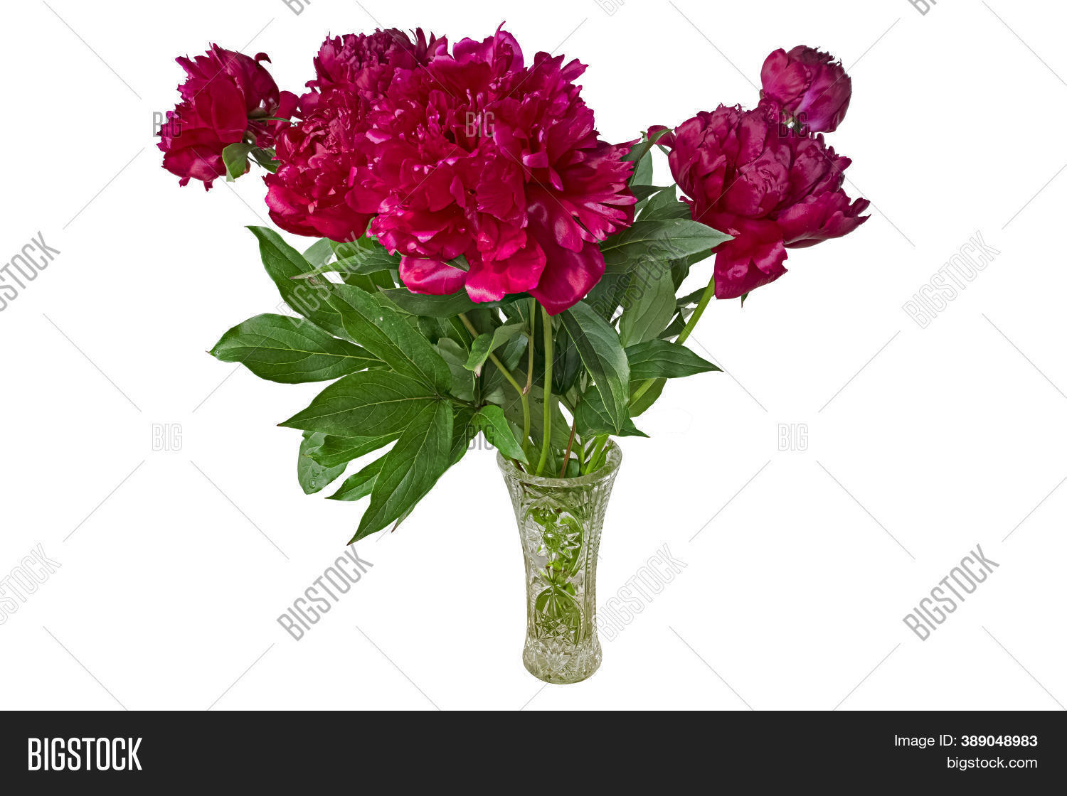 Bouquet Bright Red Image & Photo (Free Trial) | Bigstock