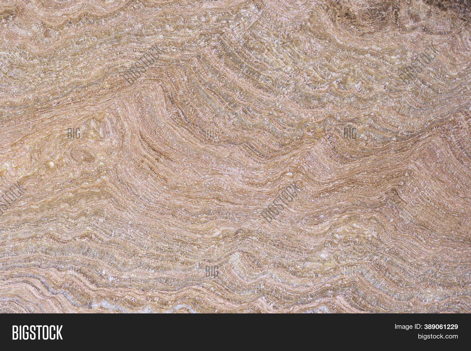 Cement Texture Image & Photo (Free Trial) | Bigstock