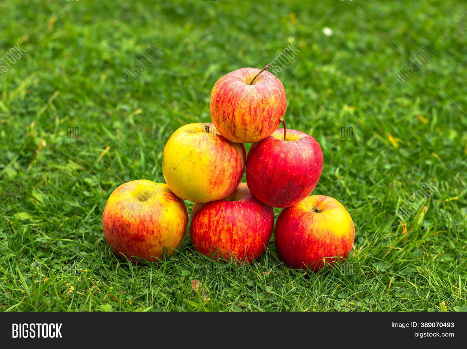 Group Red Apples On Image & Photo (Free Trial) | Bigstock