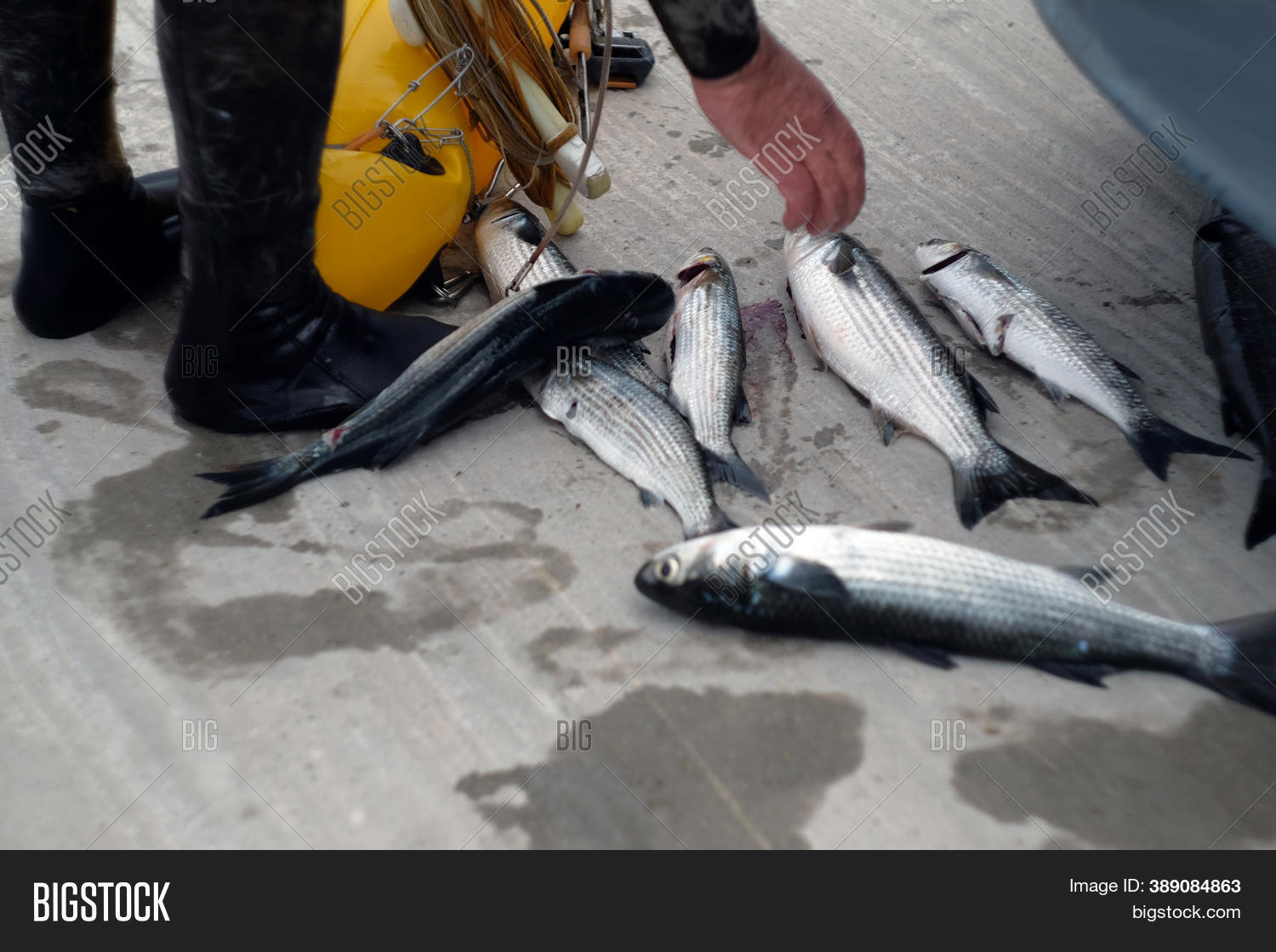 Fisherman Caught Fish Image & Photo (Free Trial) | Bigstock