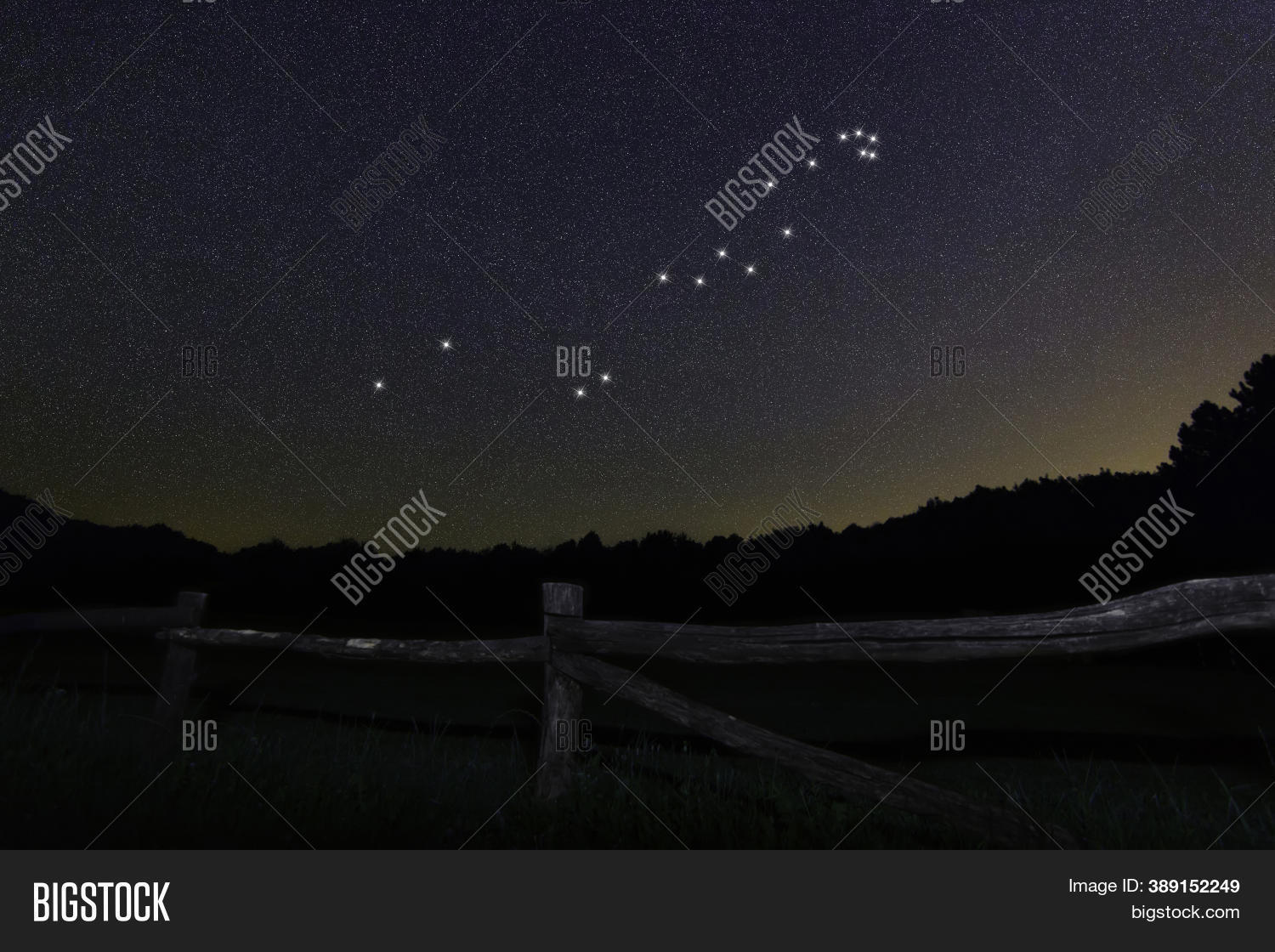 Hydra Star Image & Photo (Free Trial) | Bigstock