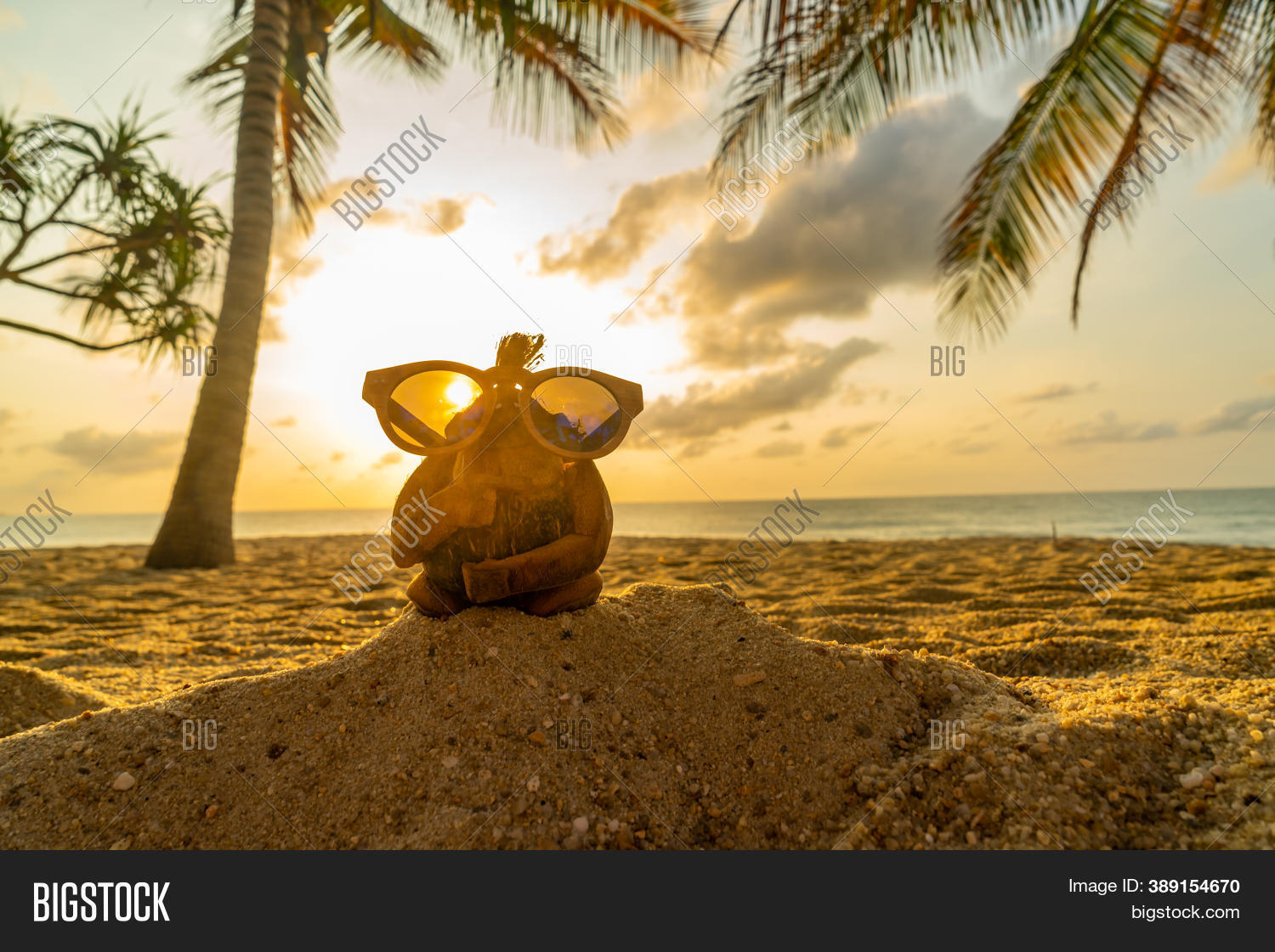 Monkey Coconut Image & Photo (Free Trial) | Bigstock