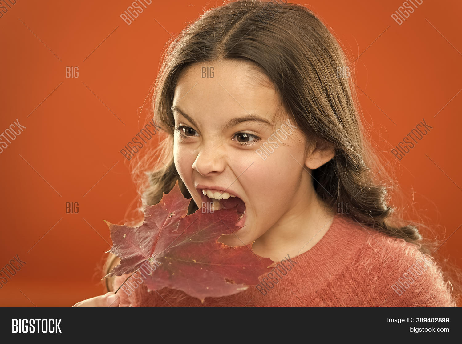 Ingredient Baking Image & Photo (Free Trial) | Bigstock