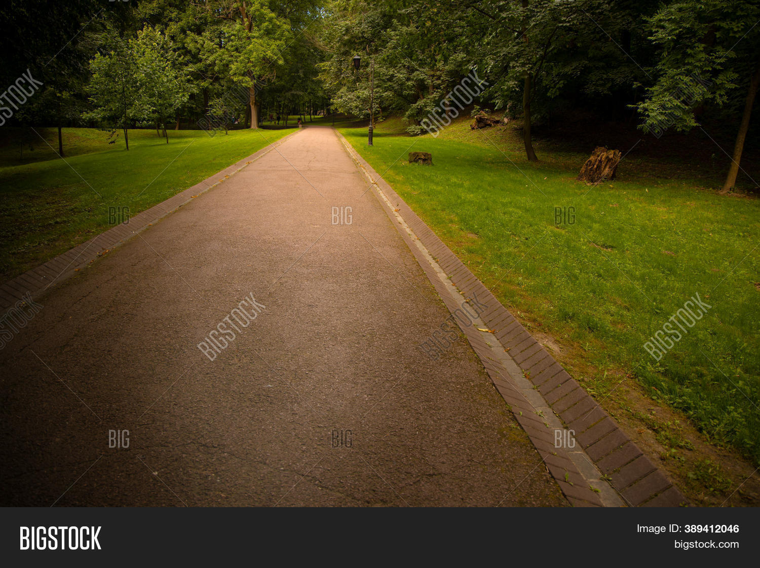 Park Asphalt Road Path Image & Photo (Free Trial) | Bigstock
