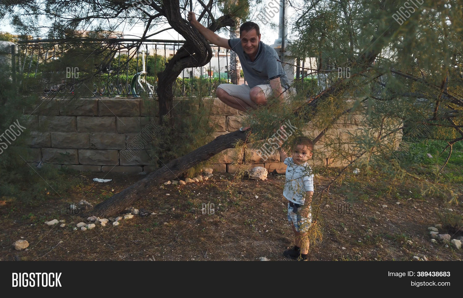 Father Squats On Tree Image & Photo (Free Trial) | Bigstock