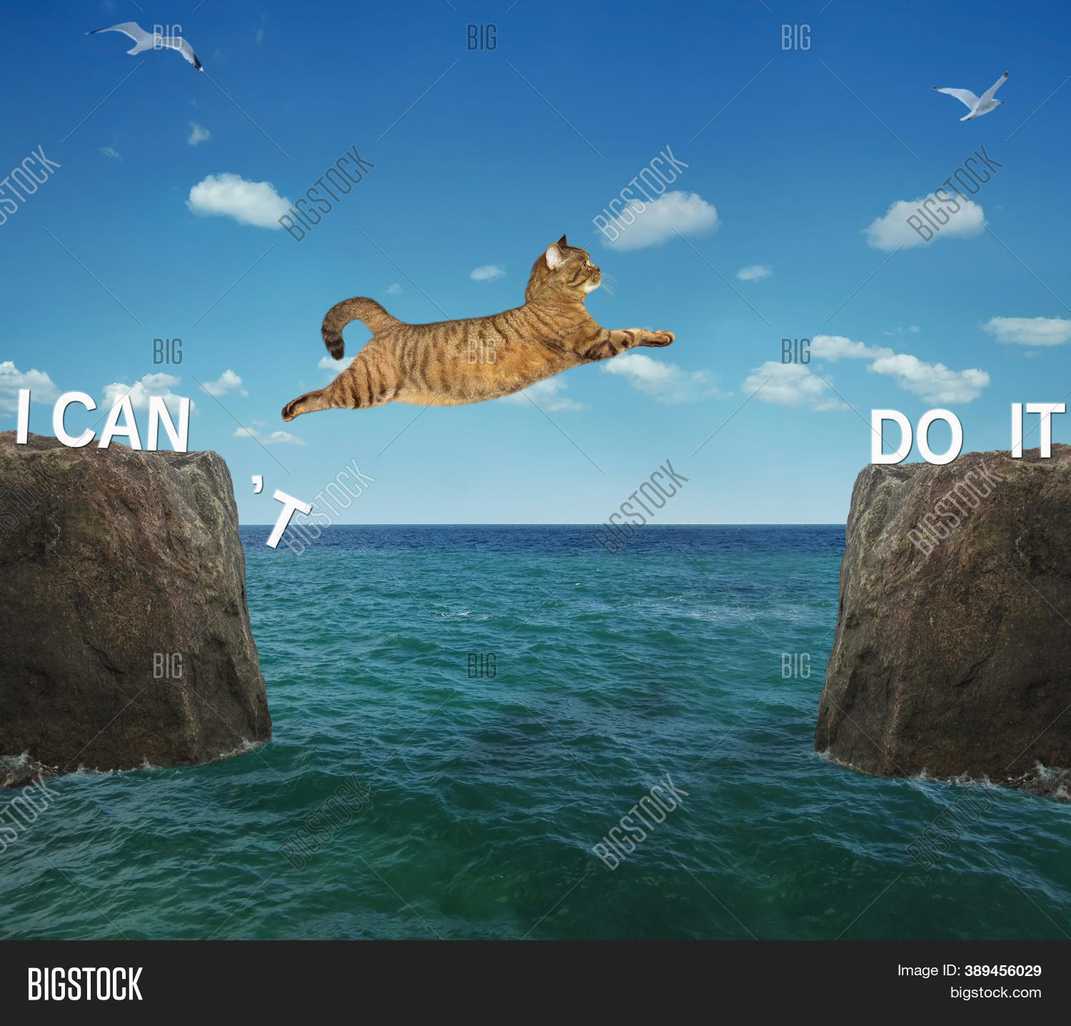 Brave Cat Jumps Over Image & Photo (Free Trial) | Bigstock