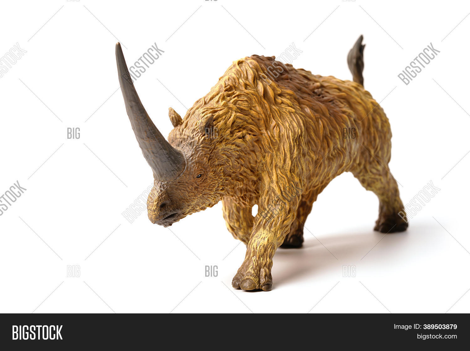 Elasmotherium Isolated Image & Photo (Free Trial) | Bigstock