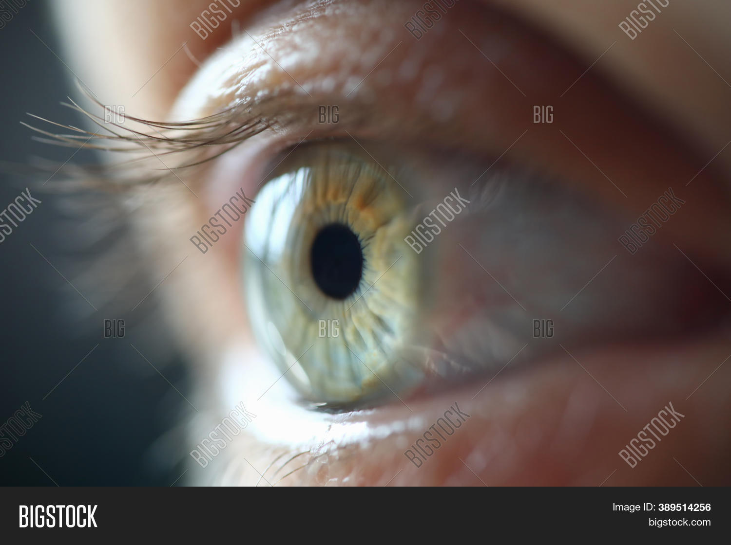 Human Eye Eyelashes Image & Photo (Free Trial) | Bigstock