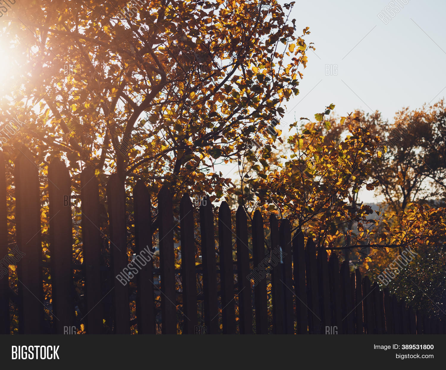 Wooden Fence Village Image & Photo (Free Trial) | Bigstock