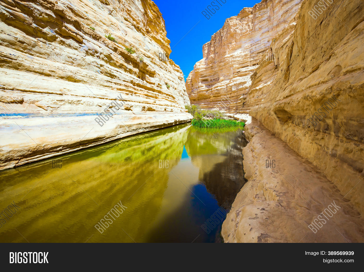 Greenish Smooth Water Image & Photo (Free Trial) | Bigstock