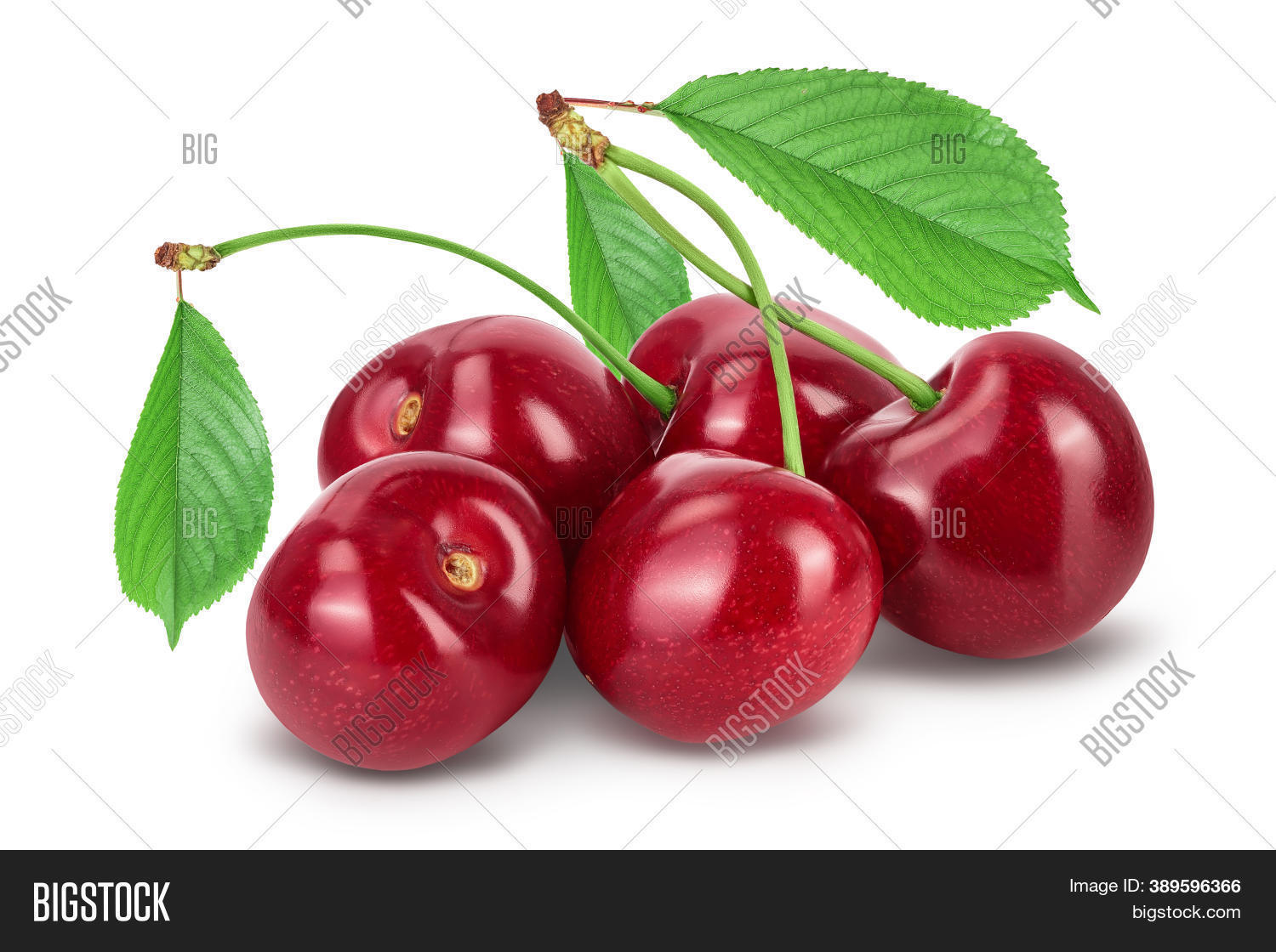 Red Sweet Cherry Image & Photo (Free Trial) | Bigstock