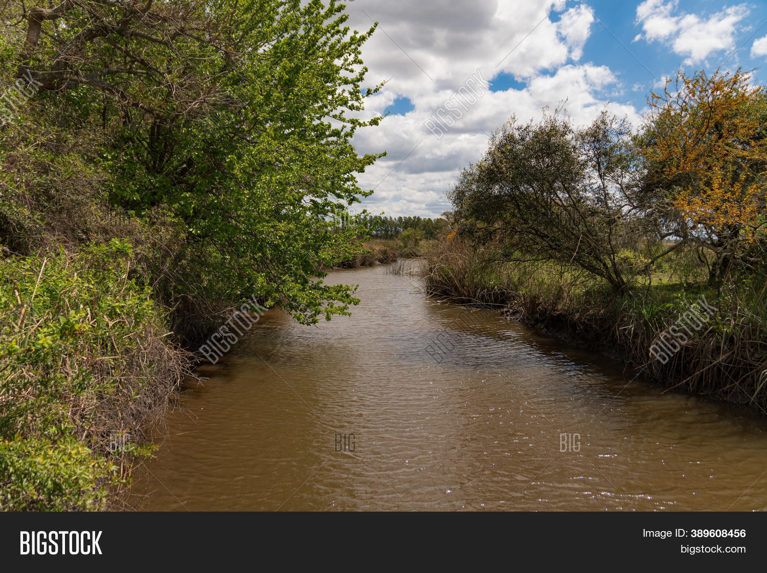Beautiful Natural Park Image & Photo (Free Trial) | Bigstock