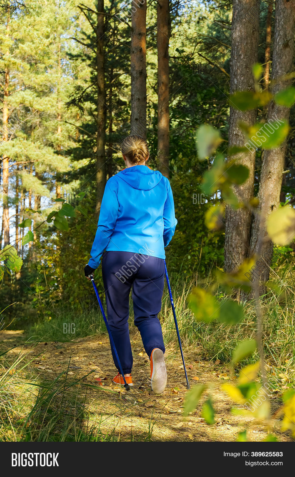Women Sticks Autumn Image & Photo (Free Trial) | Bigstock