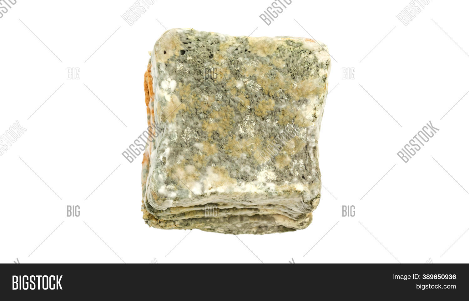 Bread Has Fungus On Image & Photo (Free Trial) | Bigstock