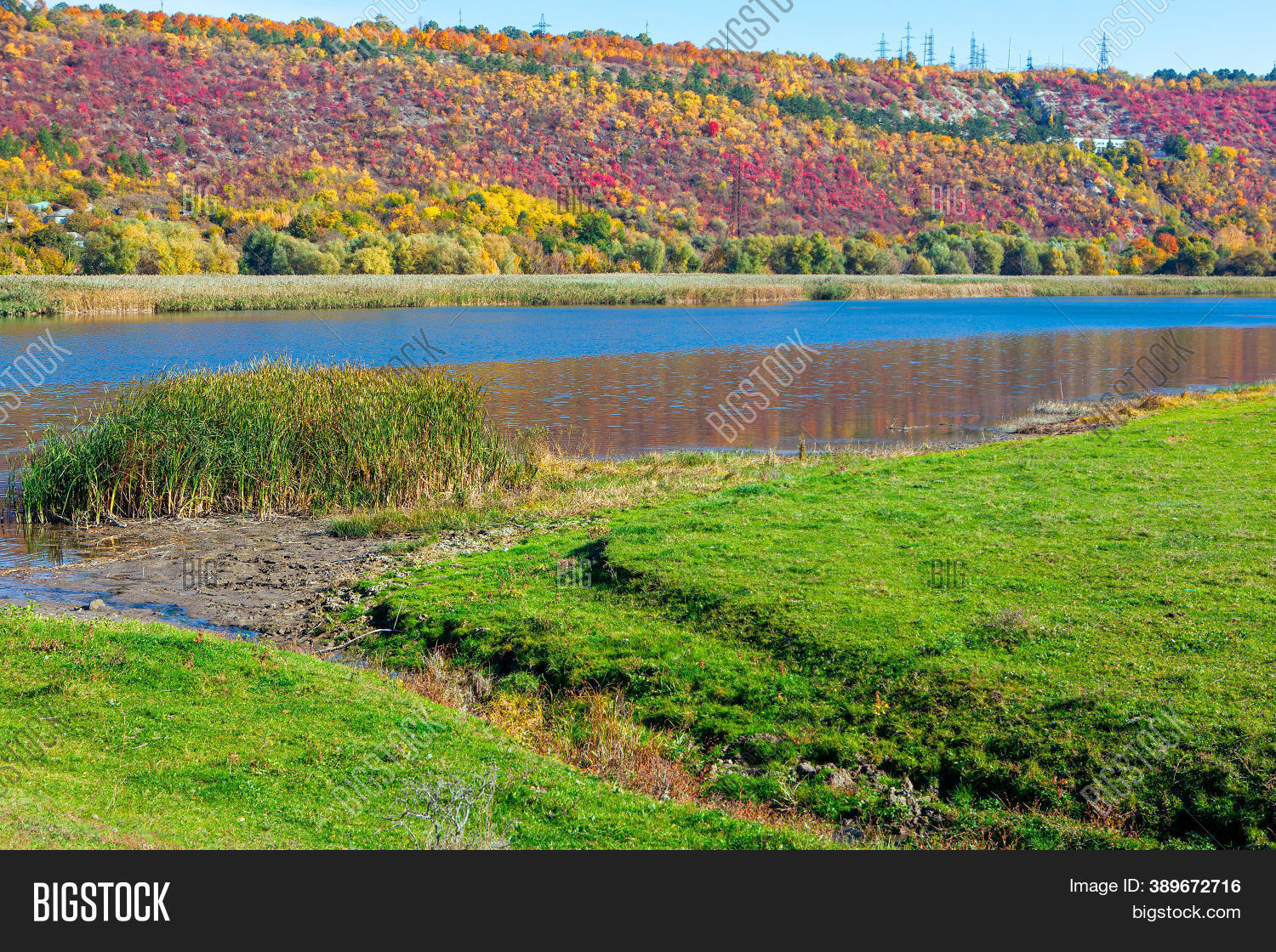 Idyllic Nature Green Image & Photo (Free Trial) | Bigstock
