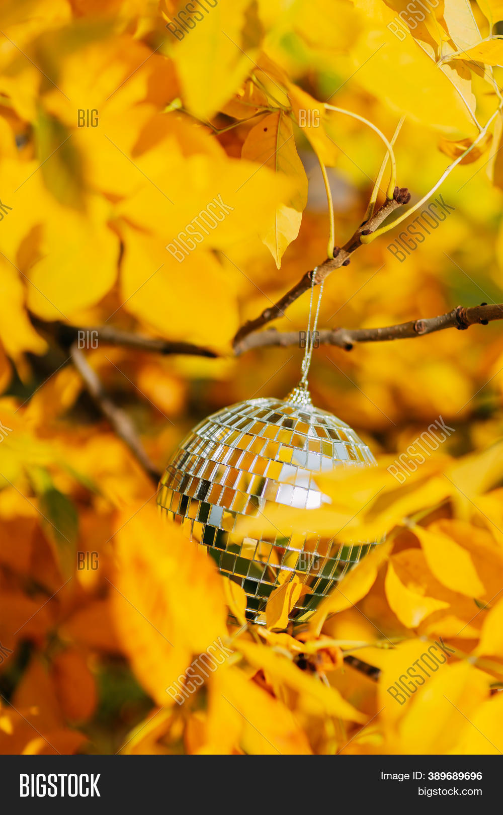Disco Ball Hangin On Image & Photo (Free Trial) | Bigstock