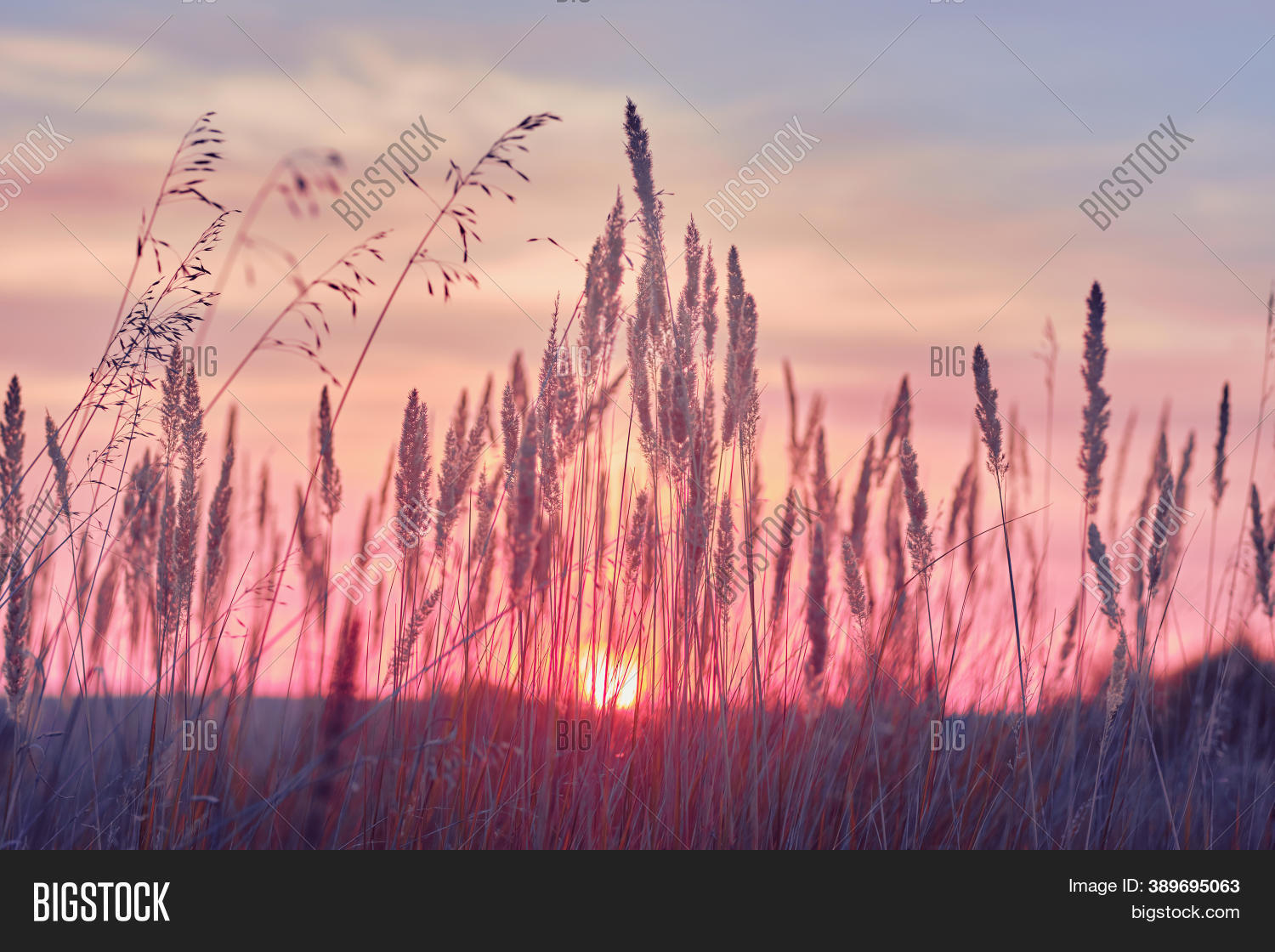 Sunrise Field. Image & Photo (Free Trial) | Bigstock