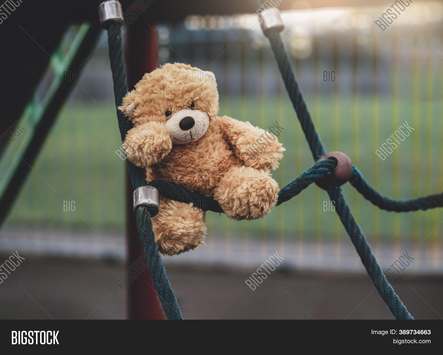 Lost Teddy Bear Toy Image & Photo (Free Trial) | Bigstock