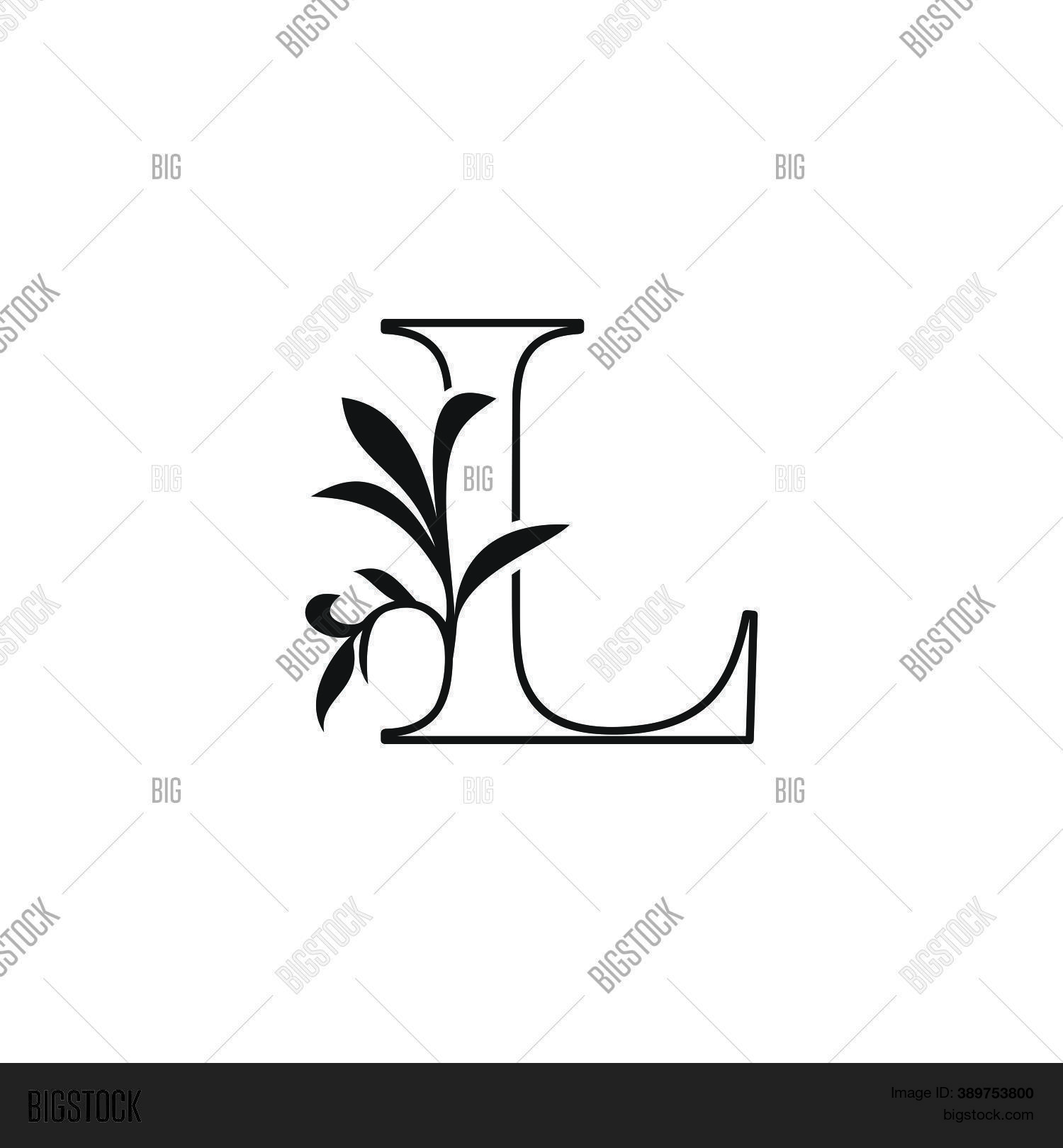 Outline Floral Leaves Vector & Photo (Free Trial) | Bigstock
