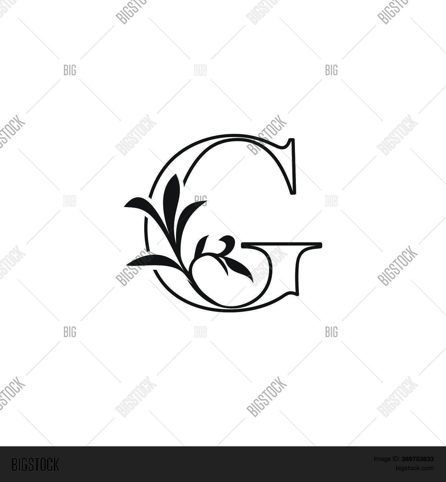 Outline Floral Leaves Vector & Photo (Free Trial) | Bigstock