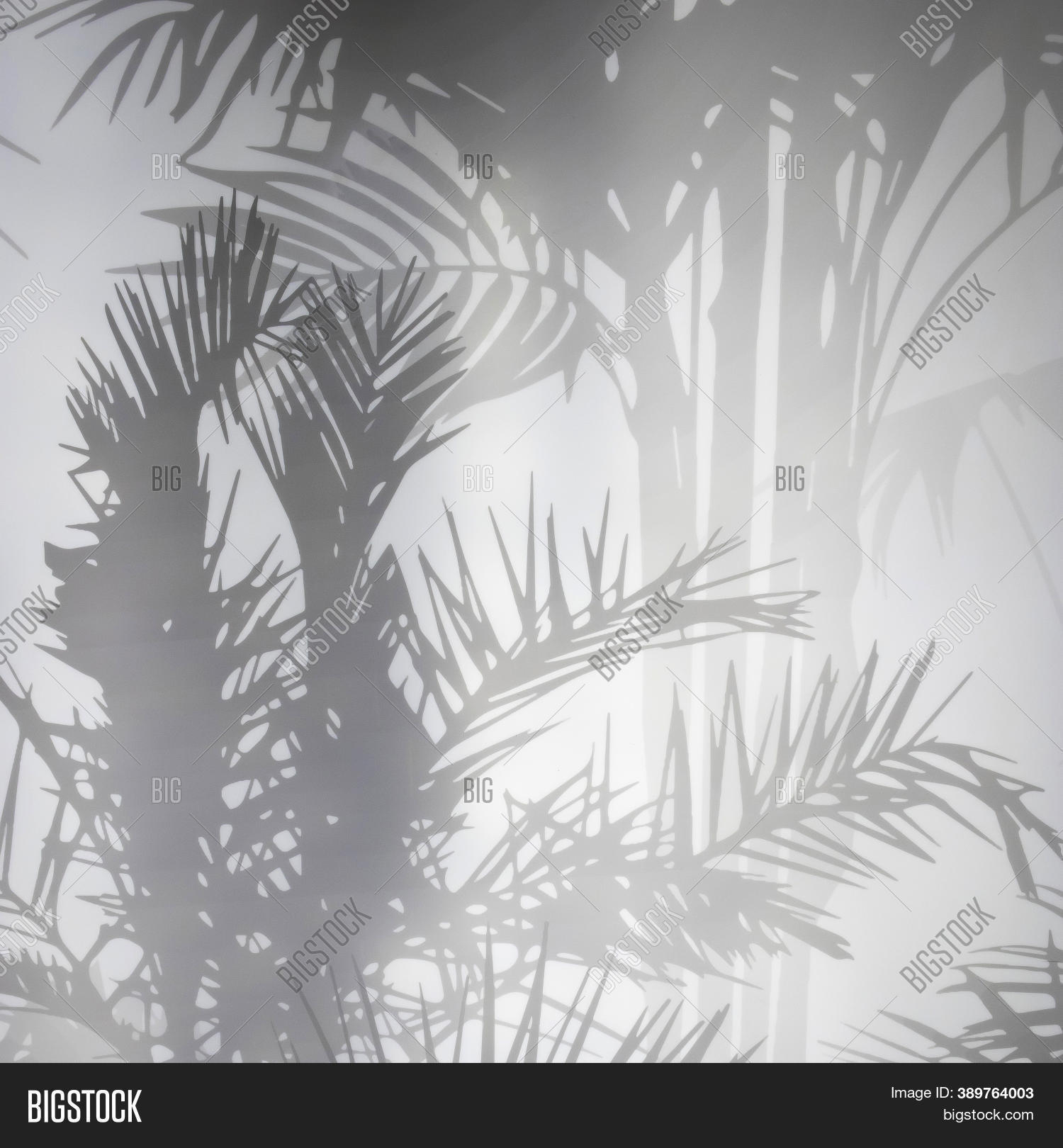 Shadow Leaves Palm Image & Photo (Free Trial) | Bigstock