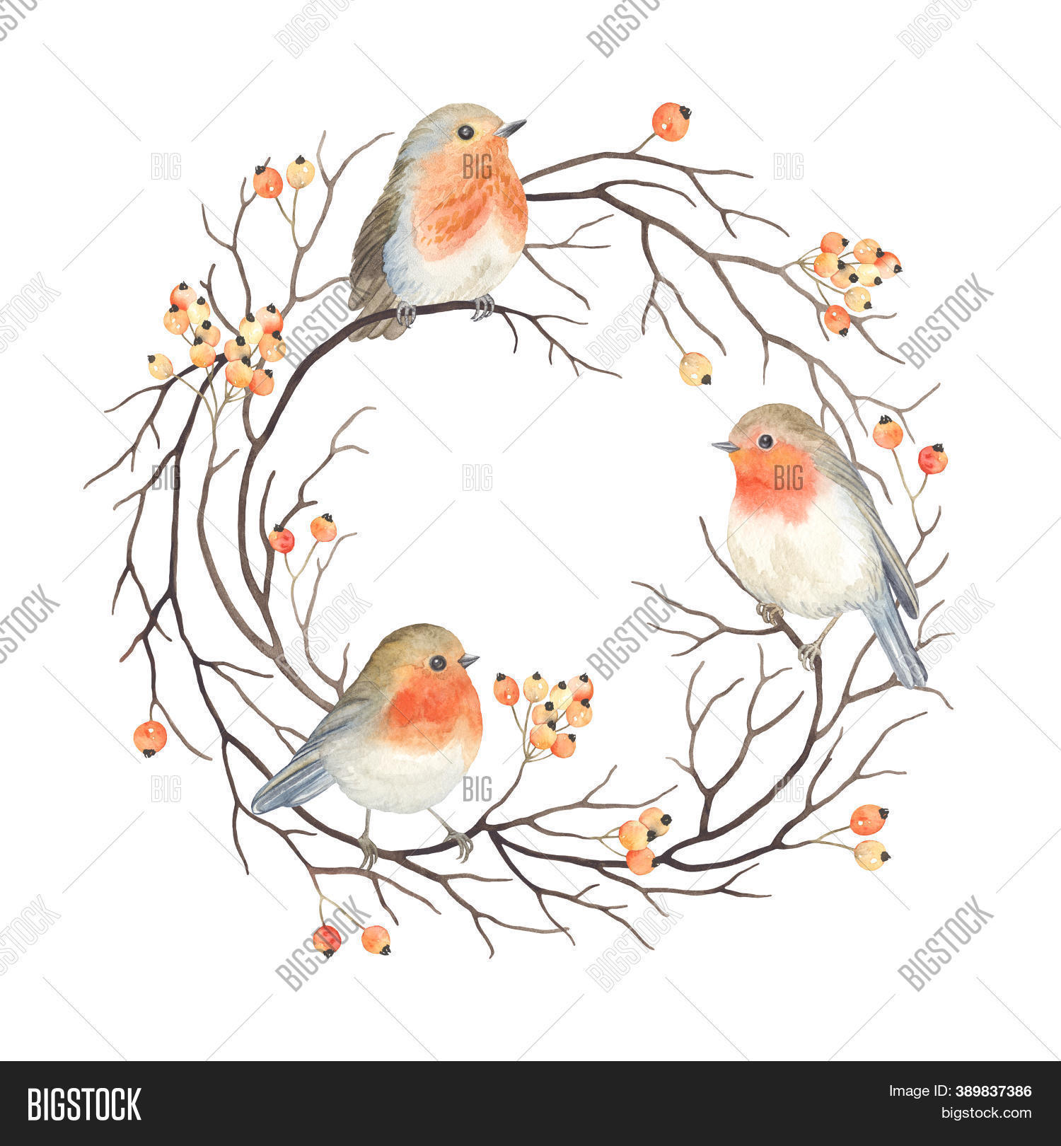 Christmas Frame Robin Image & Photo (Free Trial) | Bigstock