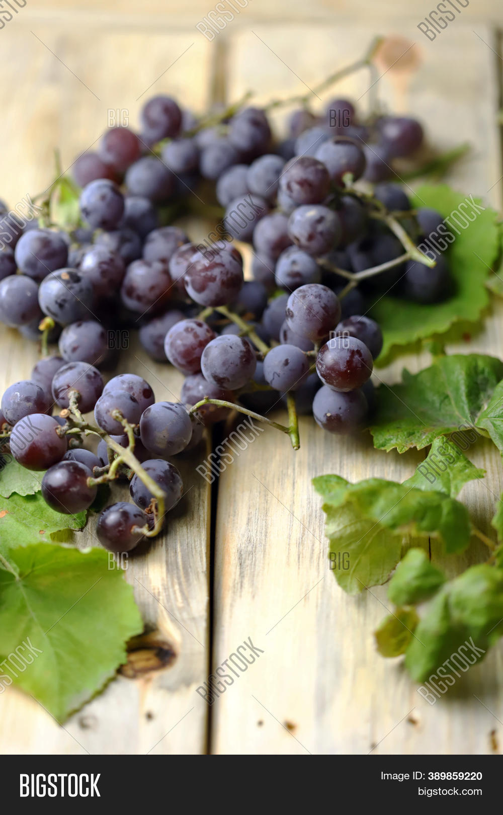 Blue Grapes Grape Image & Photo (Free Trial) | Bigstock