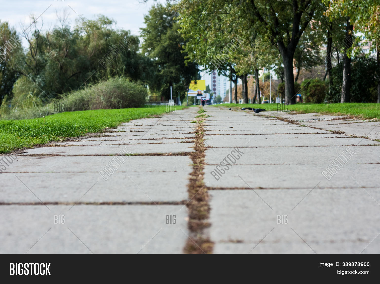 Gray Concrete Slabs - Image & Photo (Free Trial) | Bigstock