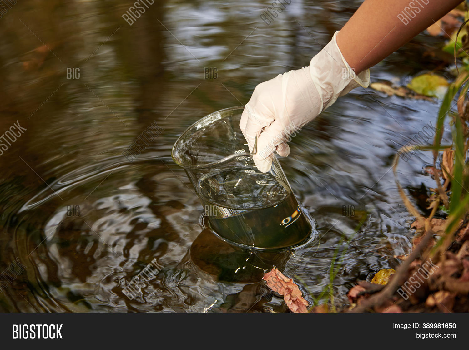 Scientist Collects Image & Photo (Free Trial) | Bigstock