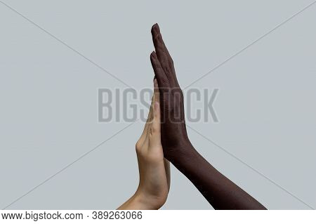 Two Hands, Black White Image & Photo (Free Trial) | Bigstock
