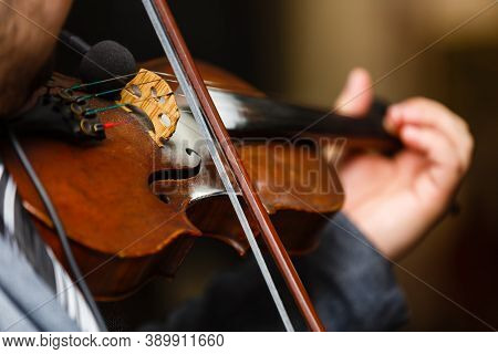 Playing Violin, Man Image & Photo (Free Trial) | Bigstock
