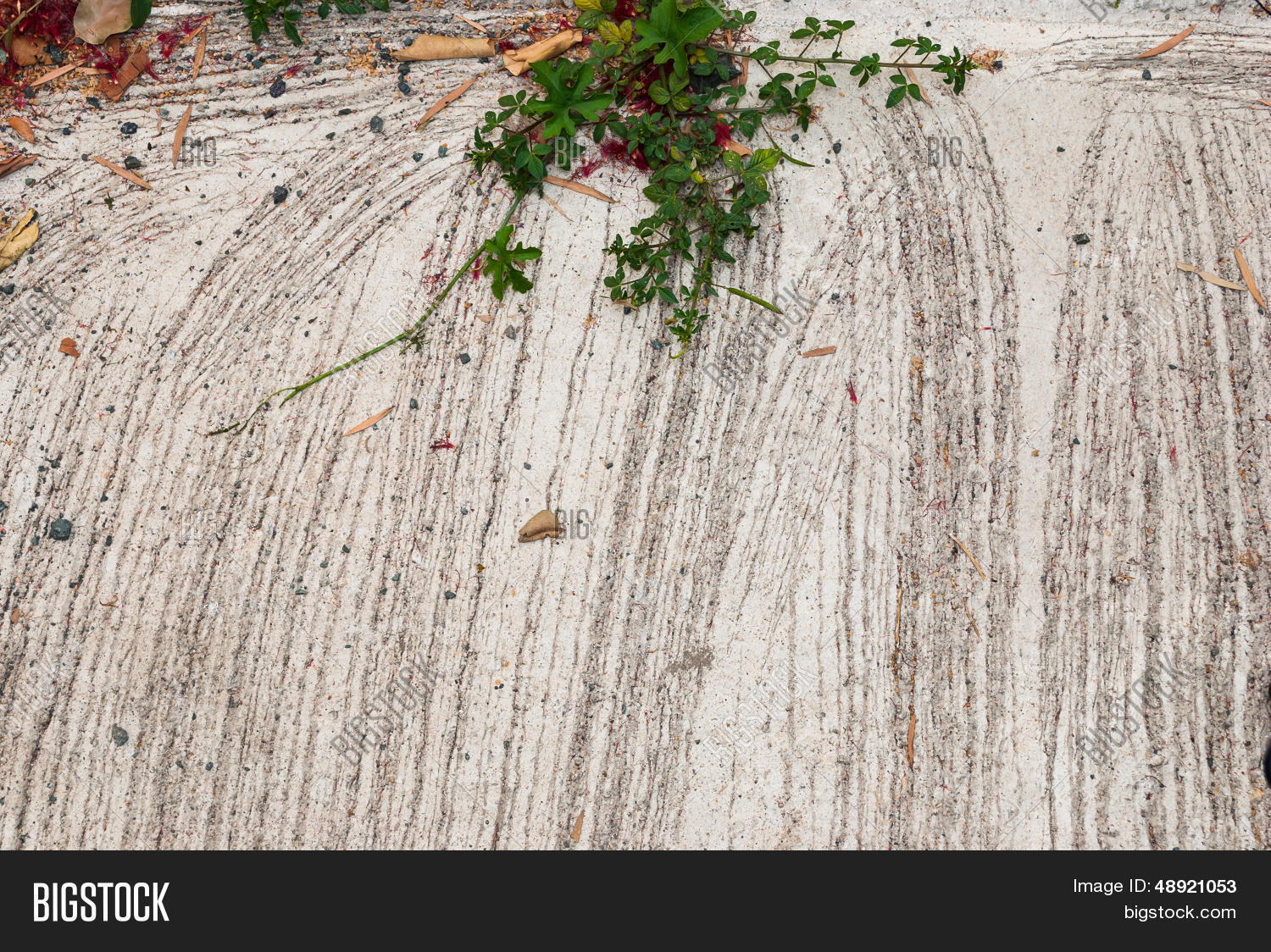 Concrete Ground Image & Photo (Free Trial) | Bigstock