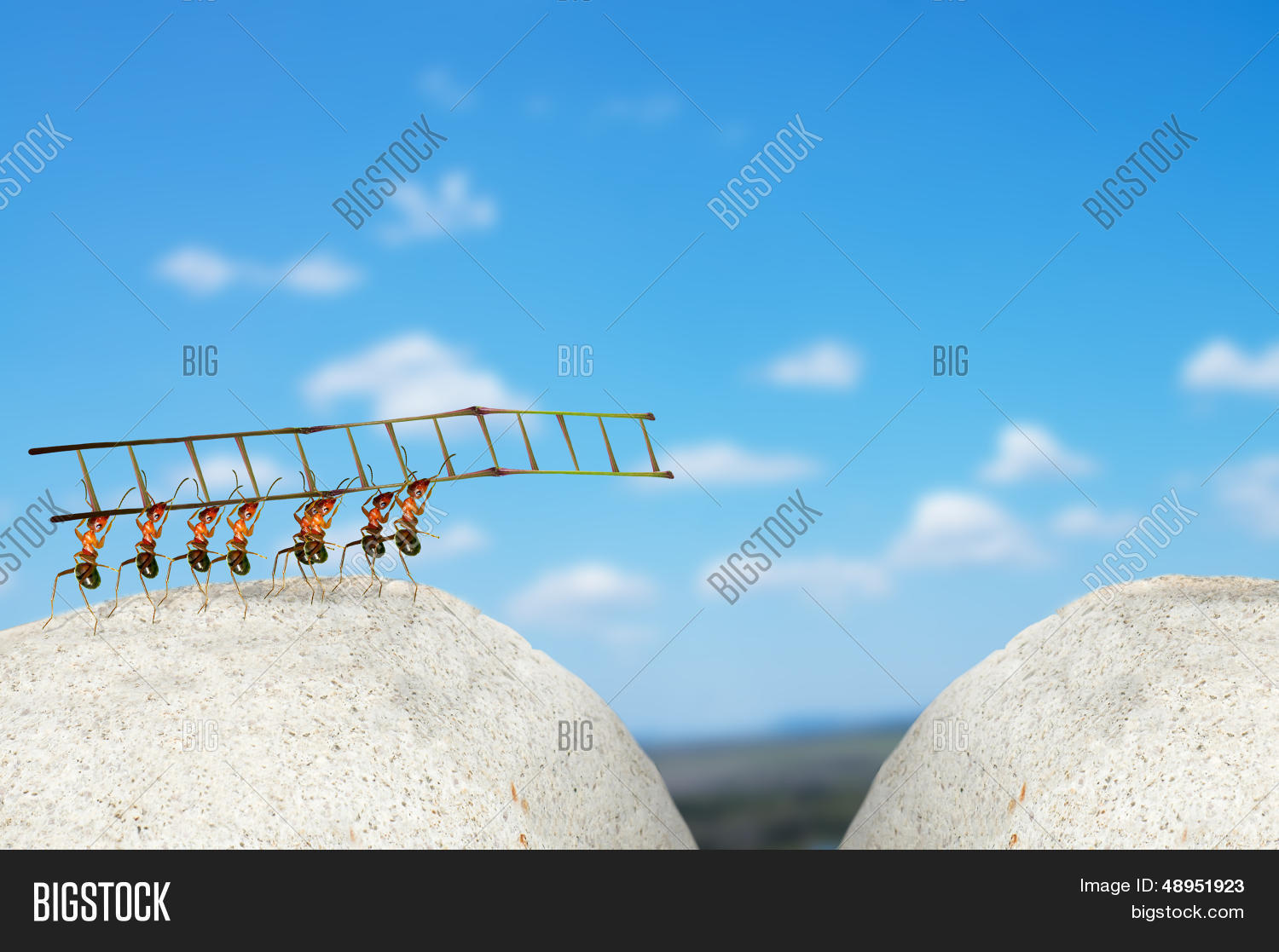 Ants Building Image & Photo (Free Trial) | Bigstock