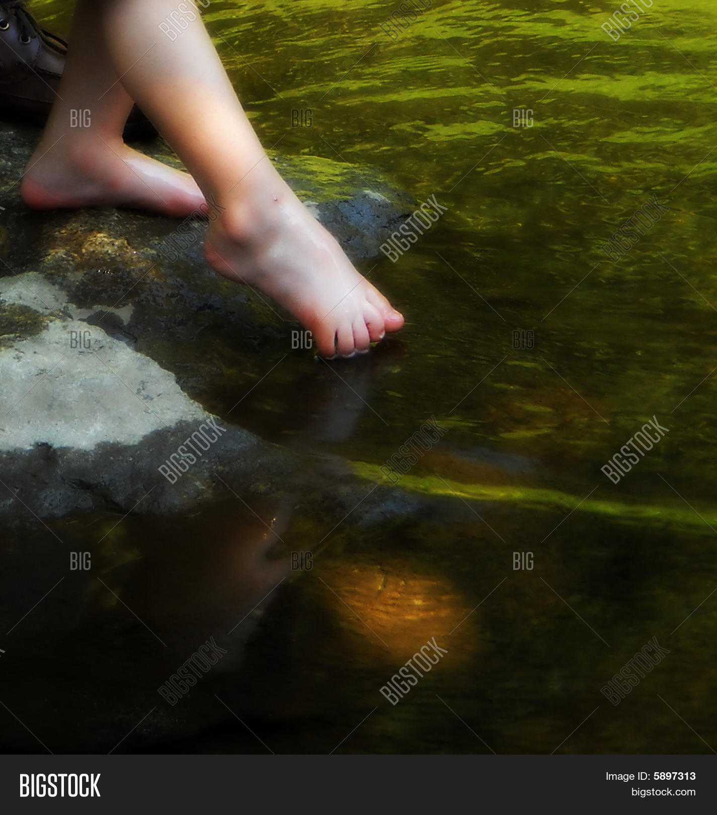 Toes Water Image & Photo (Free Trial) | Bigstock