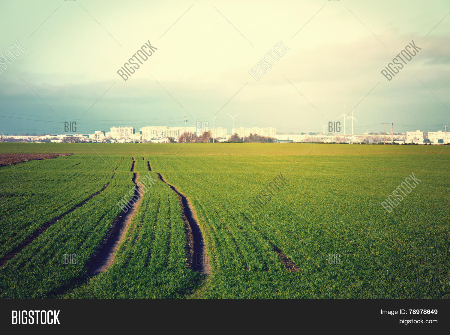 Green Field Sky Image & Photo (Free Trial) | Bigstock